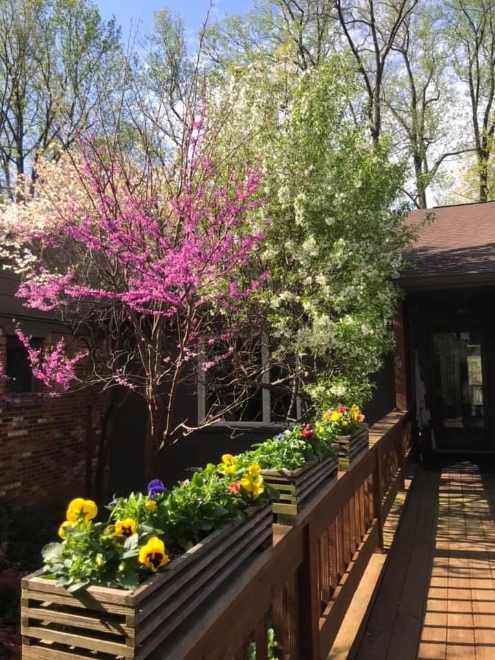 Interested in Windridge? | Windridge